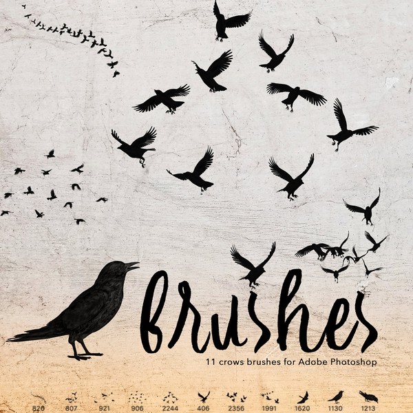 11 Crows Brushes - Photoshop brushes