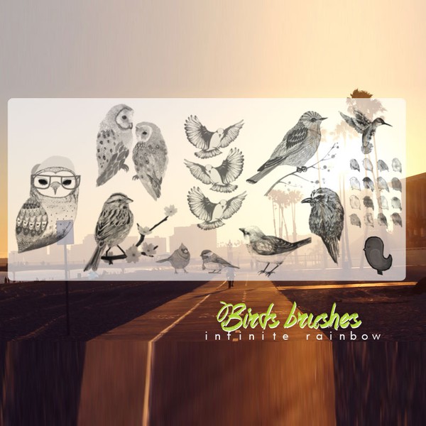 Birds Free Photoshop Brushes, Patterns & Vectors