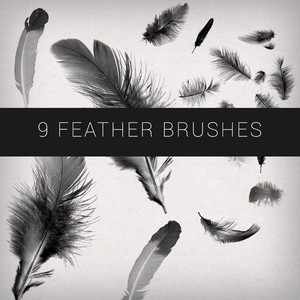 9 Feathers Brushes - Photoshop brushes