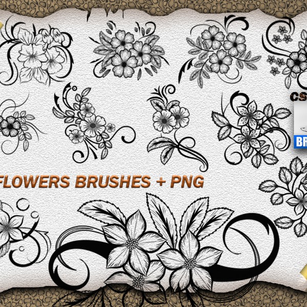 11 Flower Ornaments Brushes - Photoshop brushes