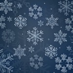 12 Snowflakes Brushes - Photoshop brushes