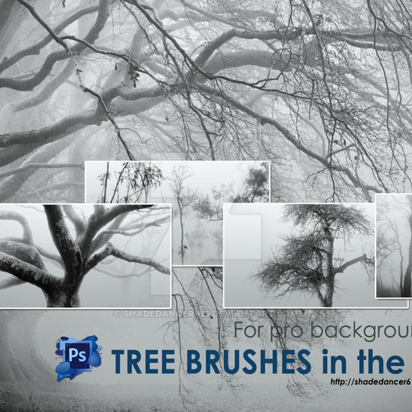 Trees Free Photoshop Brushes, Patterns & Vectors